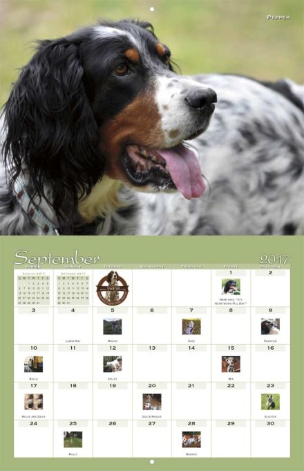 English Setter Rescue Calendar - Yearbox Calendars