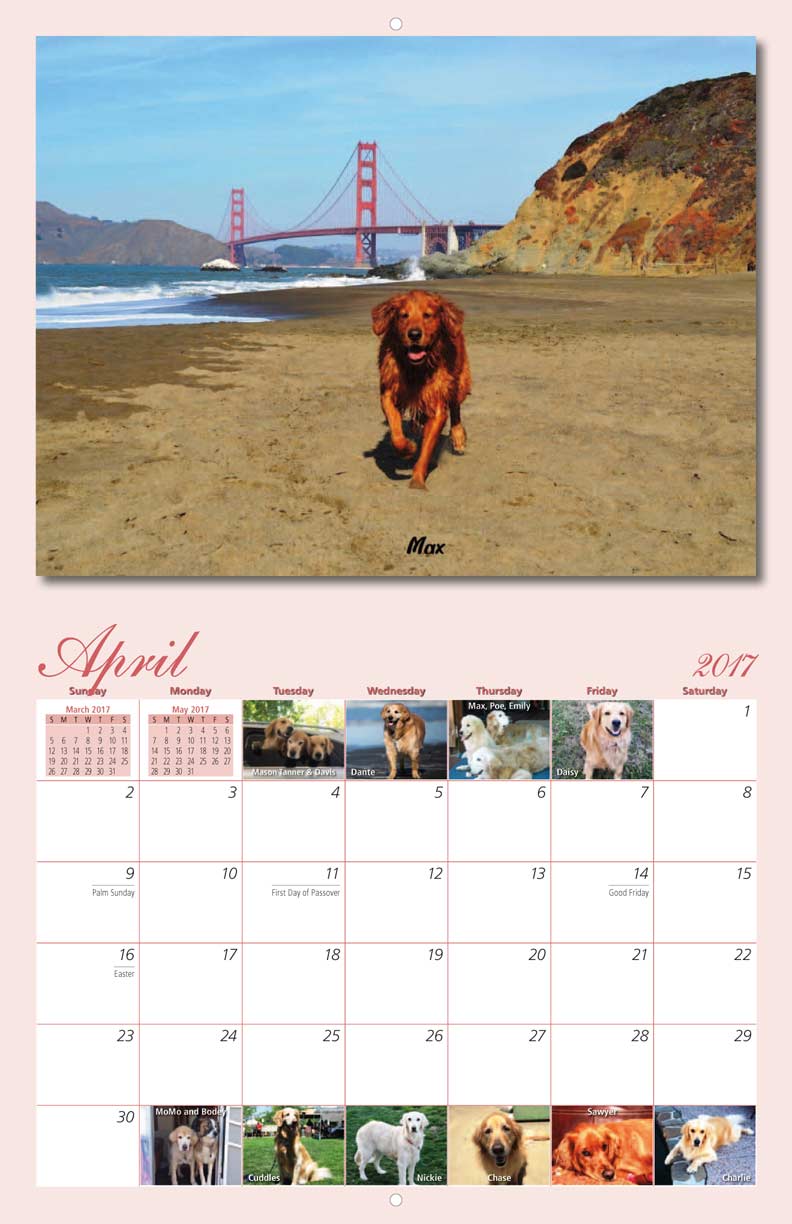 Homeward Bound Golden Retriever Rescue 2017 Calendar Fundraising