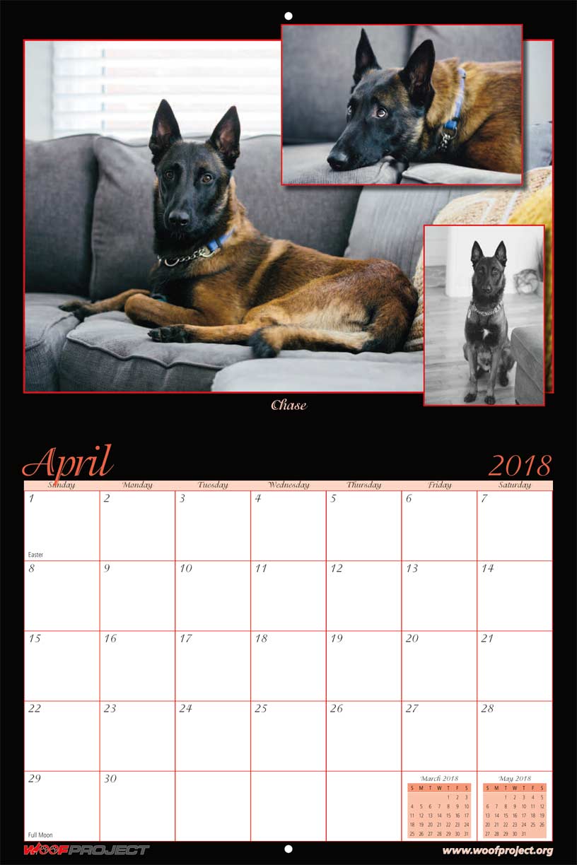 Woof Project Rescue 2018 Calendar Fundraising