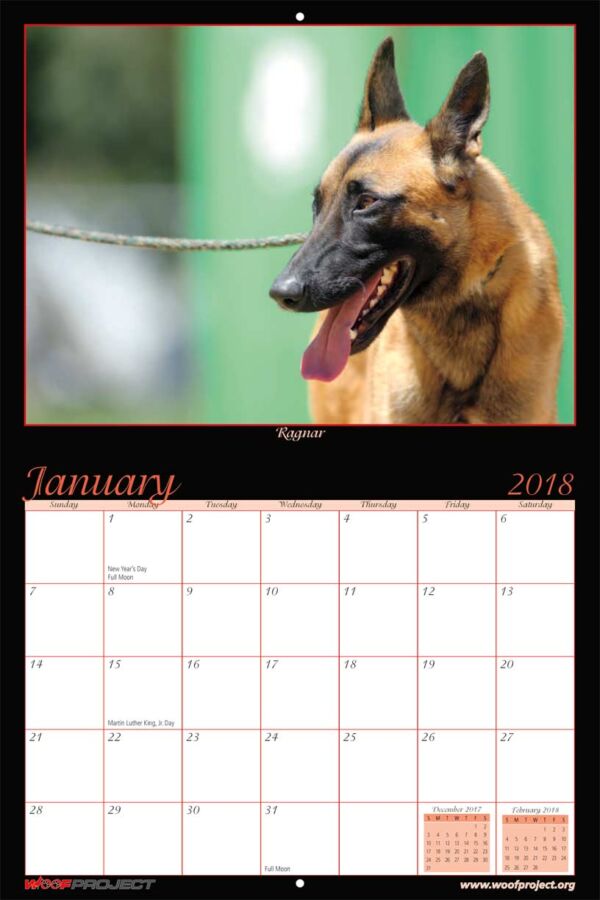 Woof Project Rescue 2018 Calendar Fundraising