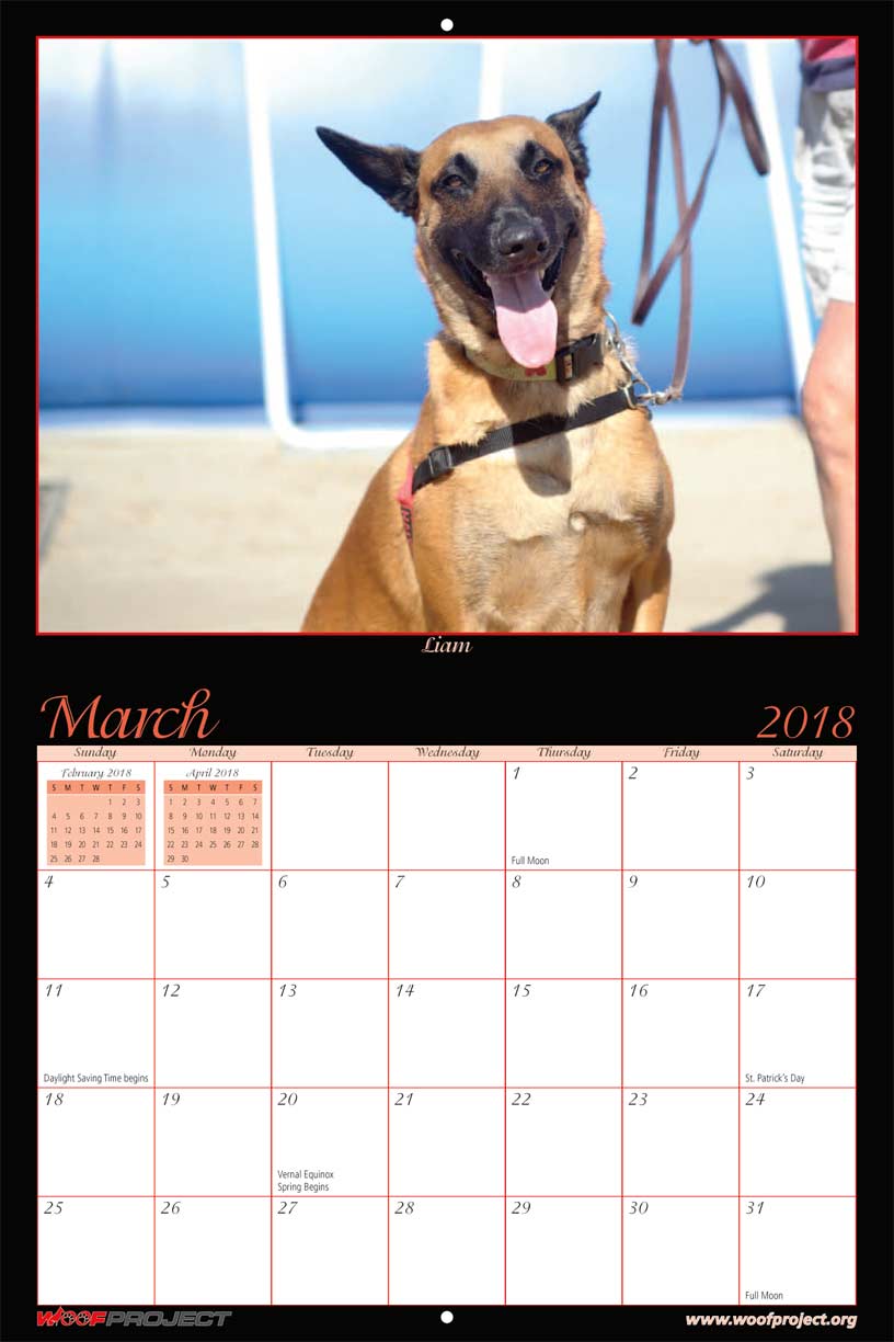 Woof Project Rescue 2018 Calendar Fundraising