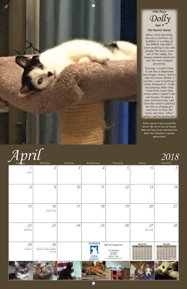 MetroWest Humane Society 2018 Calendar Fundraising