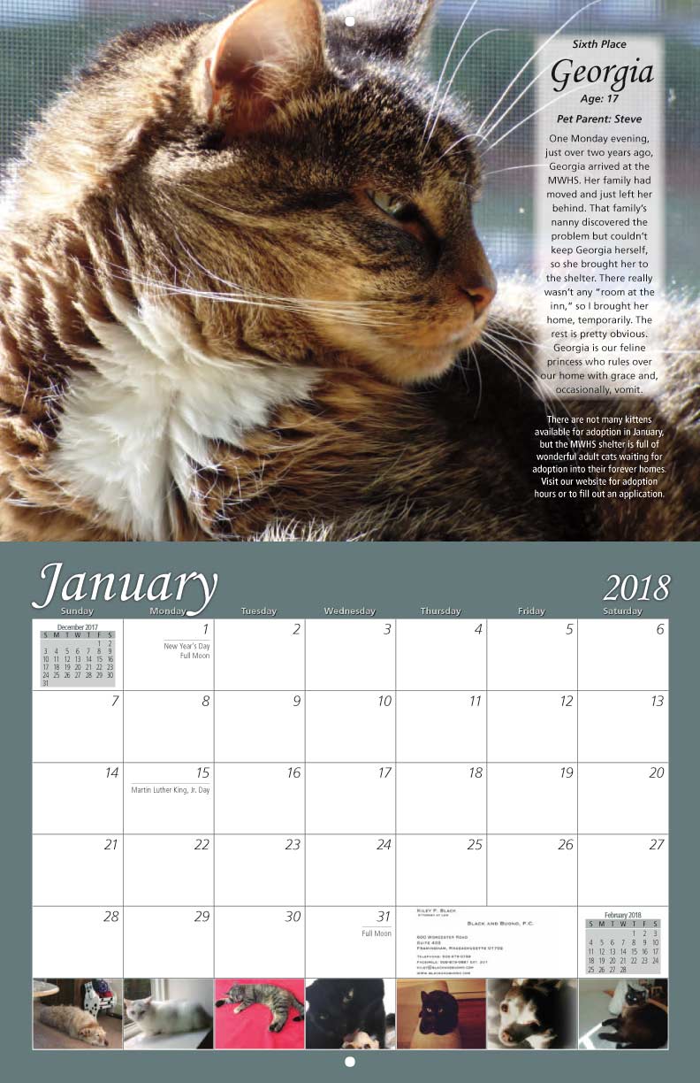 MetroWest Humane Society 2018 Calendar Fundraising