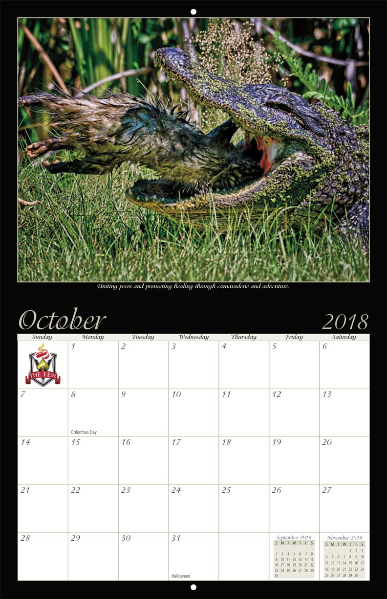 The FEW 2018 Wildlife Calendar Fundraising