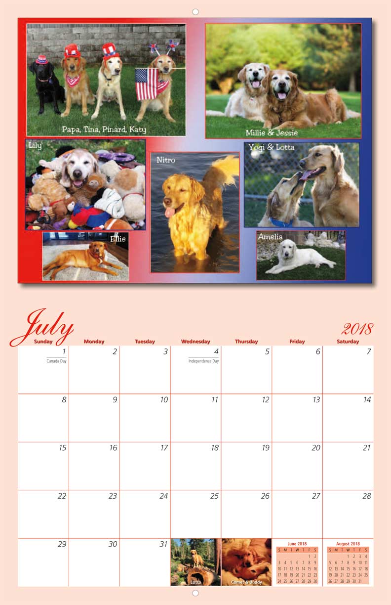 Homeward Bound Golden Retriever Rescue 2018 Calendar Fundraising