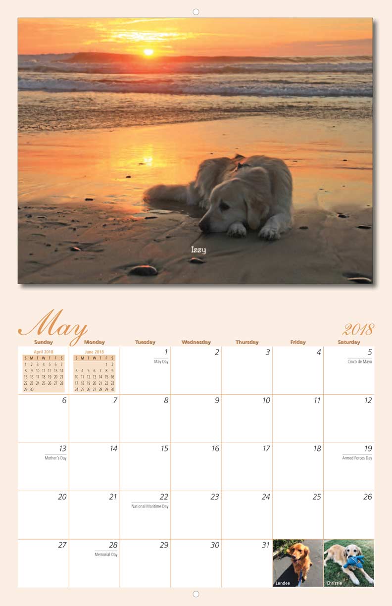 Homeward Bound Golden Retriever Rescue 2018 Calendar Fundraising