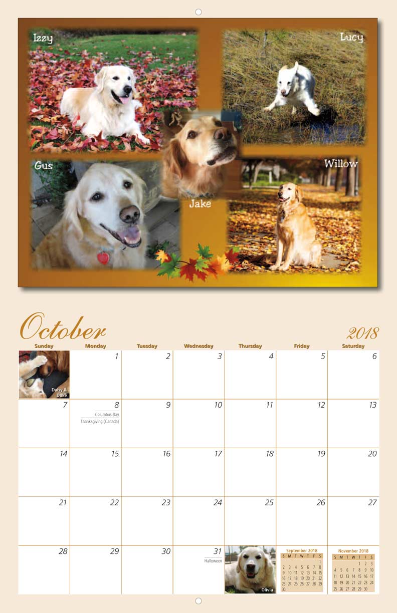 Homeward Bound Golden Retriever Rescue 2018 Calendar Fundraising