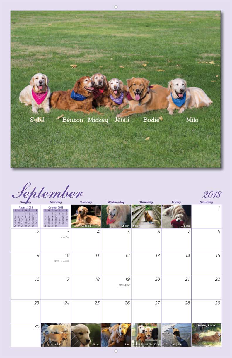 Homeward Bound Golden Retriever Rescue 2018 Calendar Fundraising