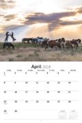 American Wild Horse Campaign 2018 Calendar - Yearbox Calendars