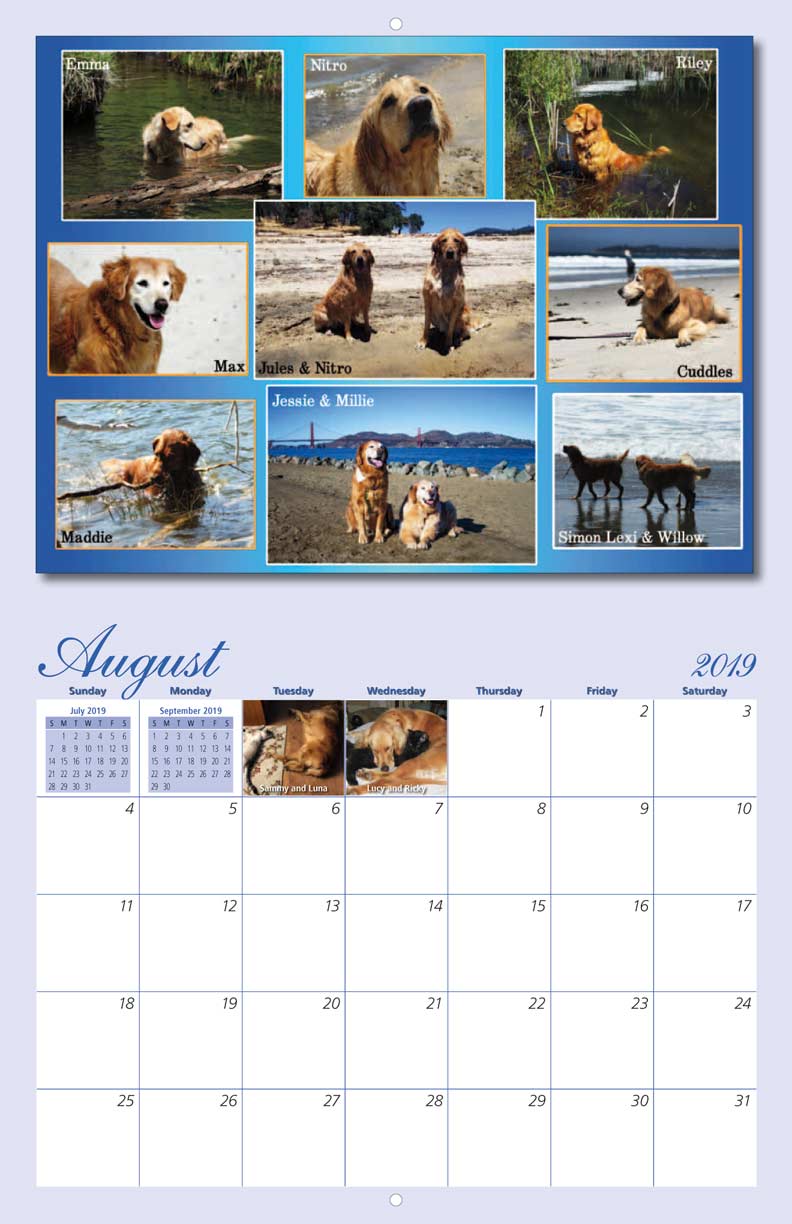Homeward Bound Golden Retriever Rescue 2019 Calendar Fundraising