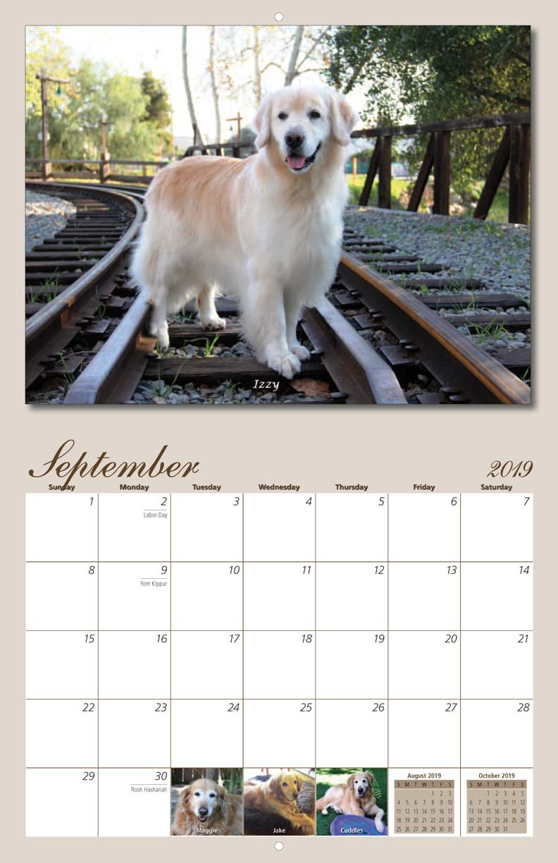Homeward Bound Golden Retriever Rescue 2019 Calendar Fundraising