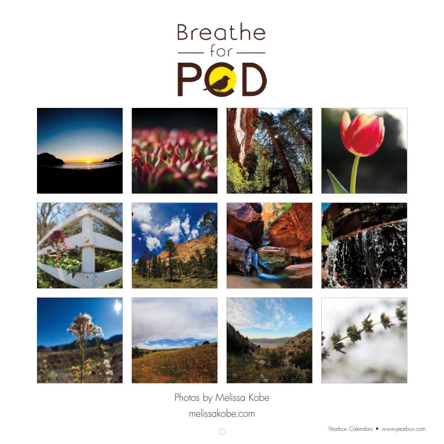 Breathe for PCD 2019 Calendar Fundraising