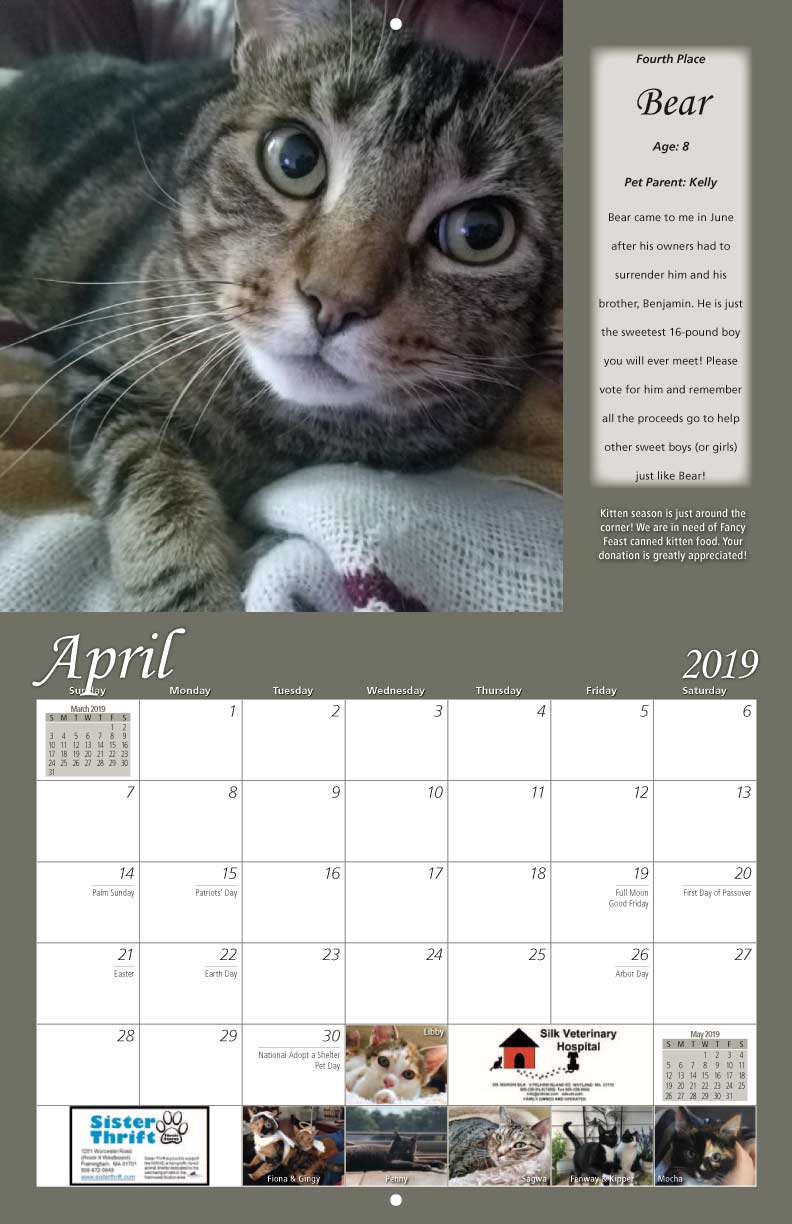 MetroWest Humane Society 2019 Calendar Fundraising