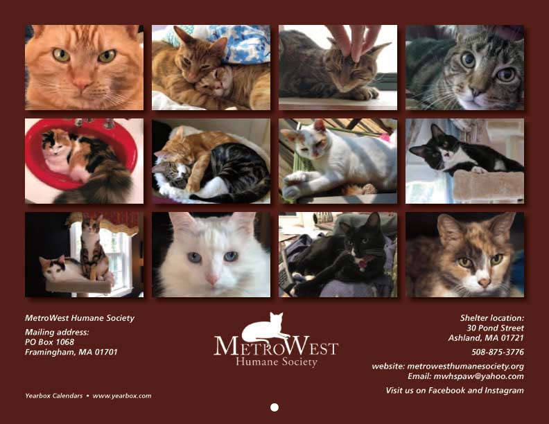 MetroWest Humane Society 2019 Calendar Fundraising