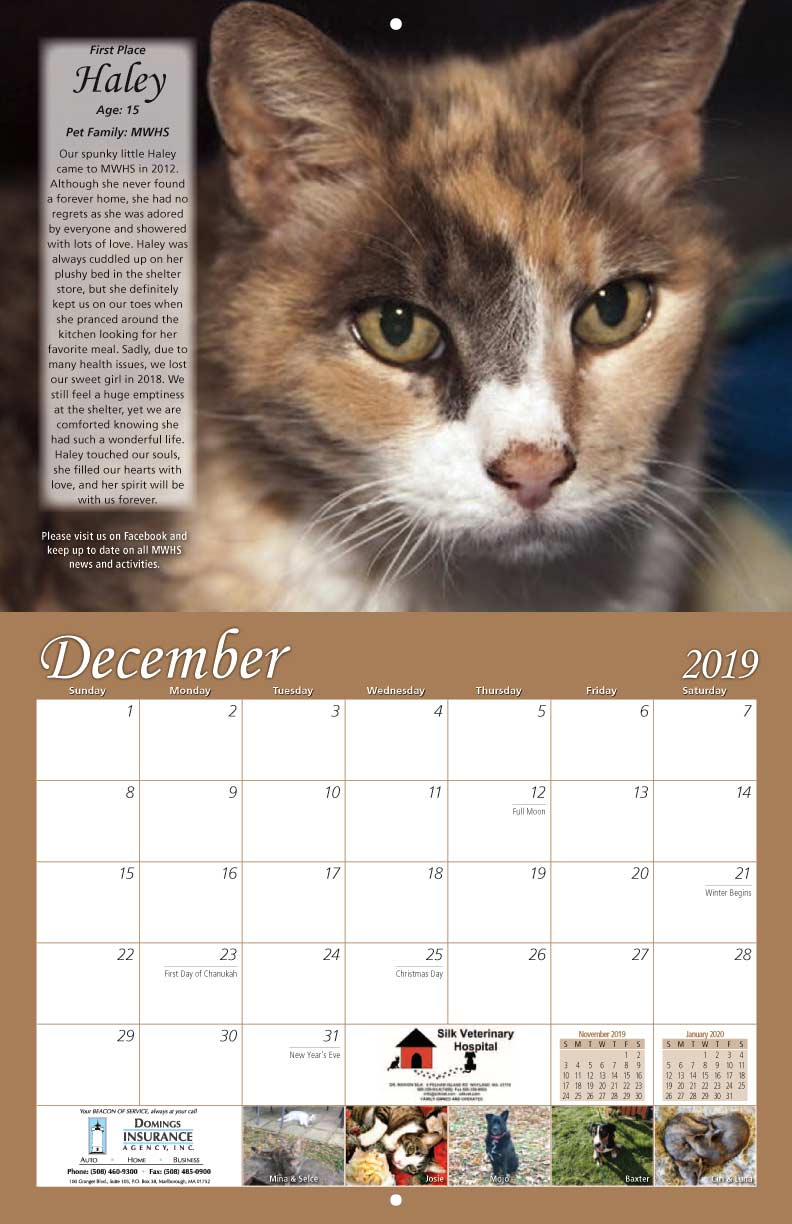 MetroWest Humane Society 2019 Calendar Fundraising