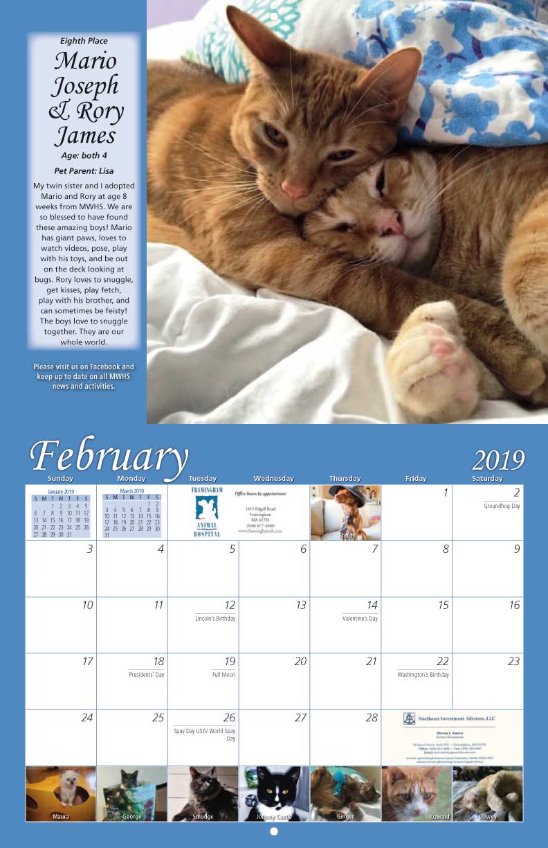 MetroWest Humane Society 2019 Calendar Fundraising