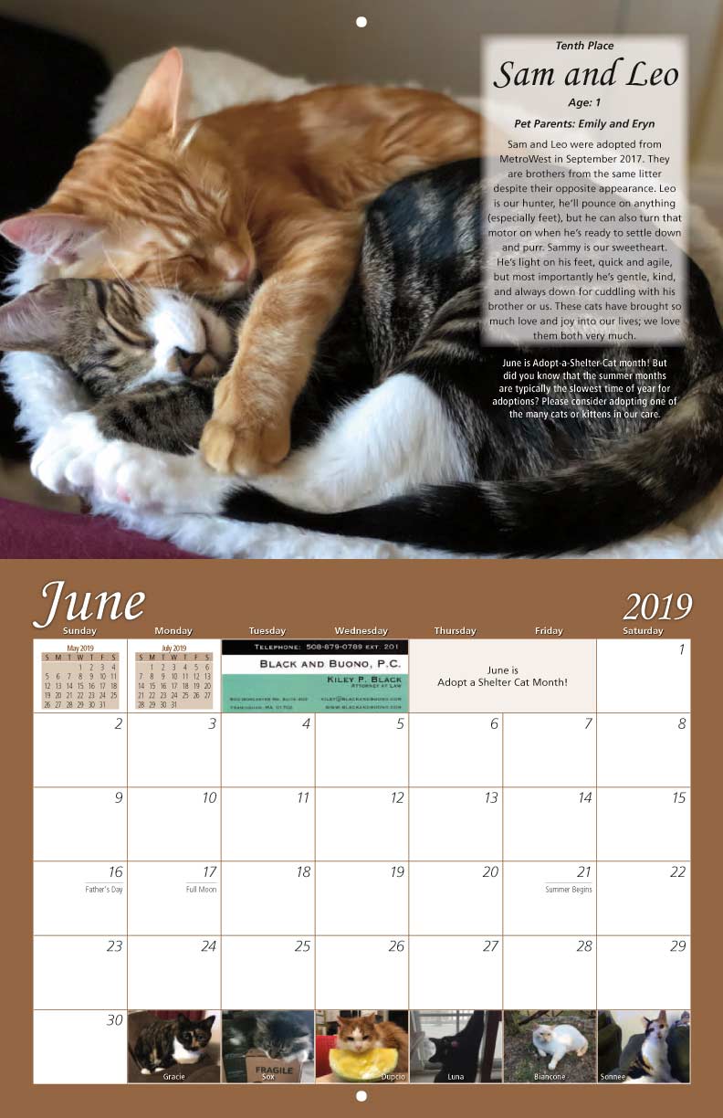 MetroWest Humane Society 2019 Calendar Fundraising