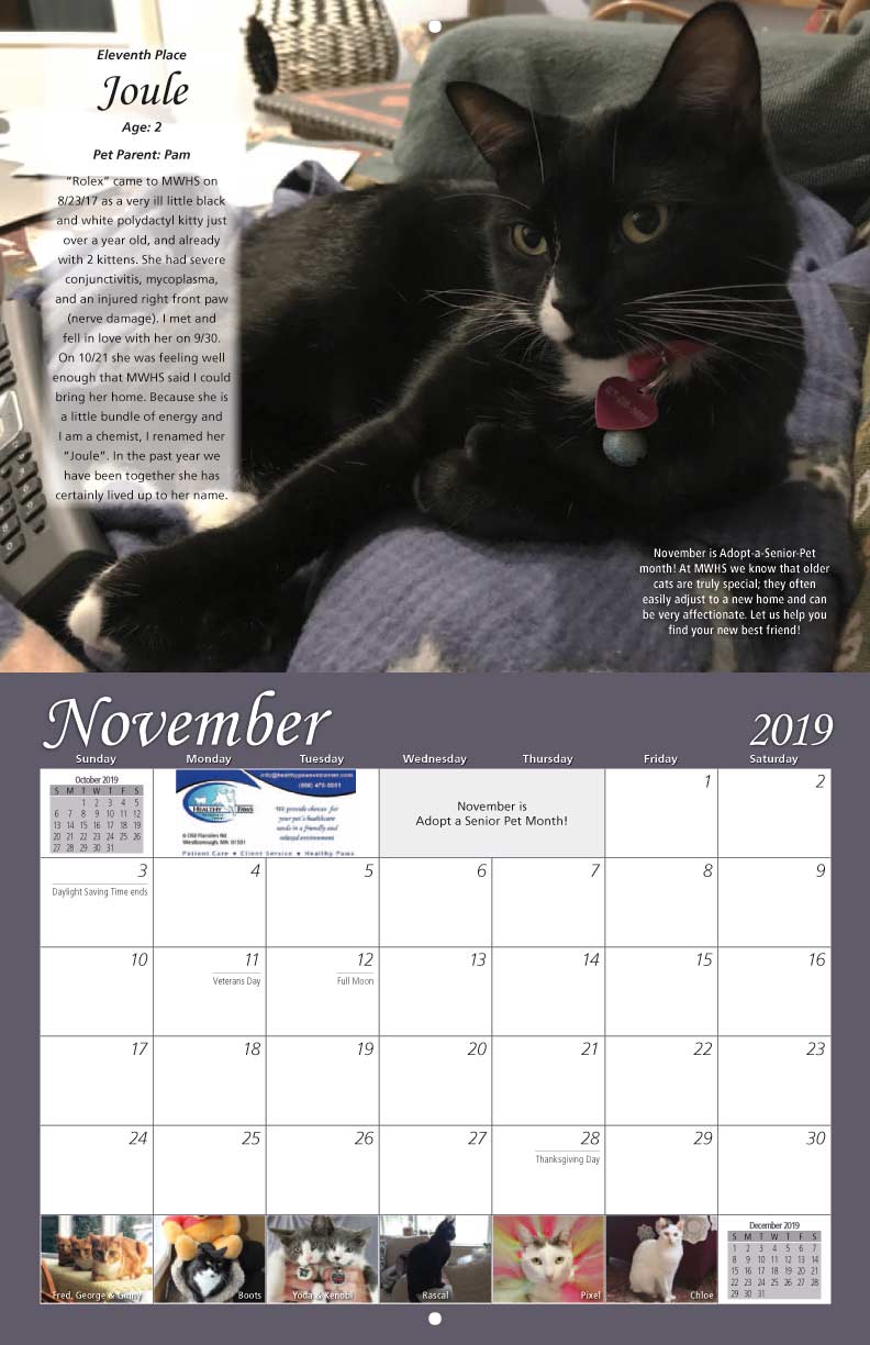 MetroWest Humane Society 2019 Calendar Fundraising
