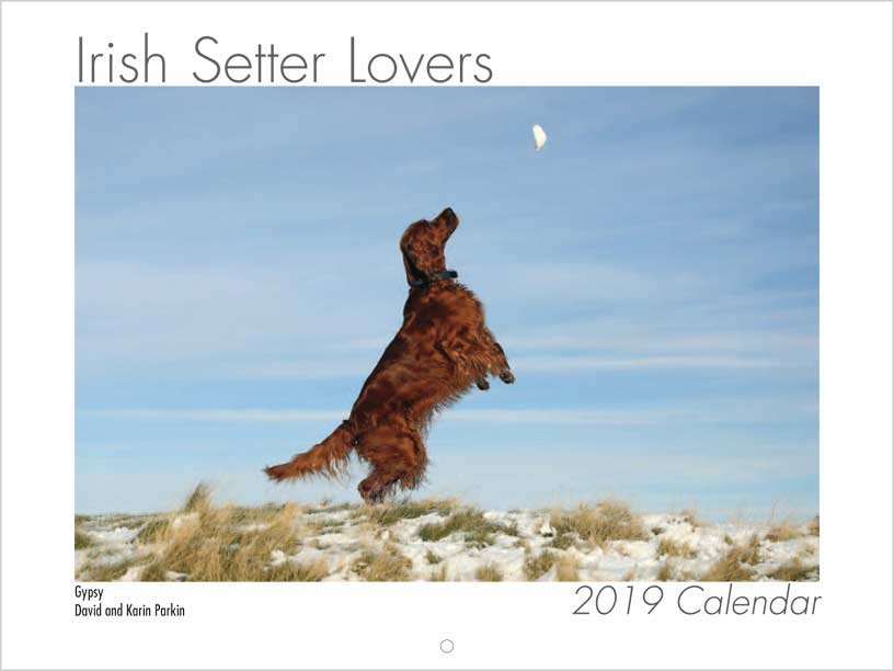 Irish Setter Lovers 2019 Calendar Fundraising