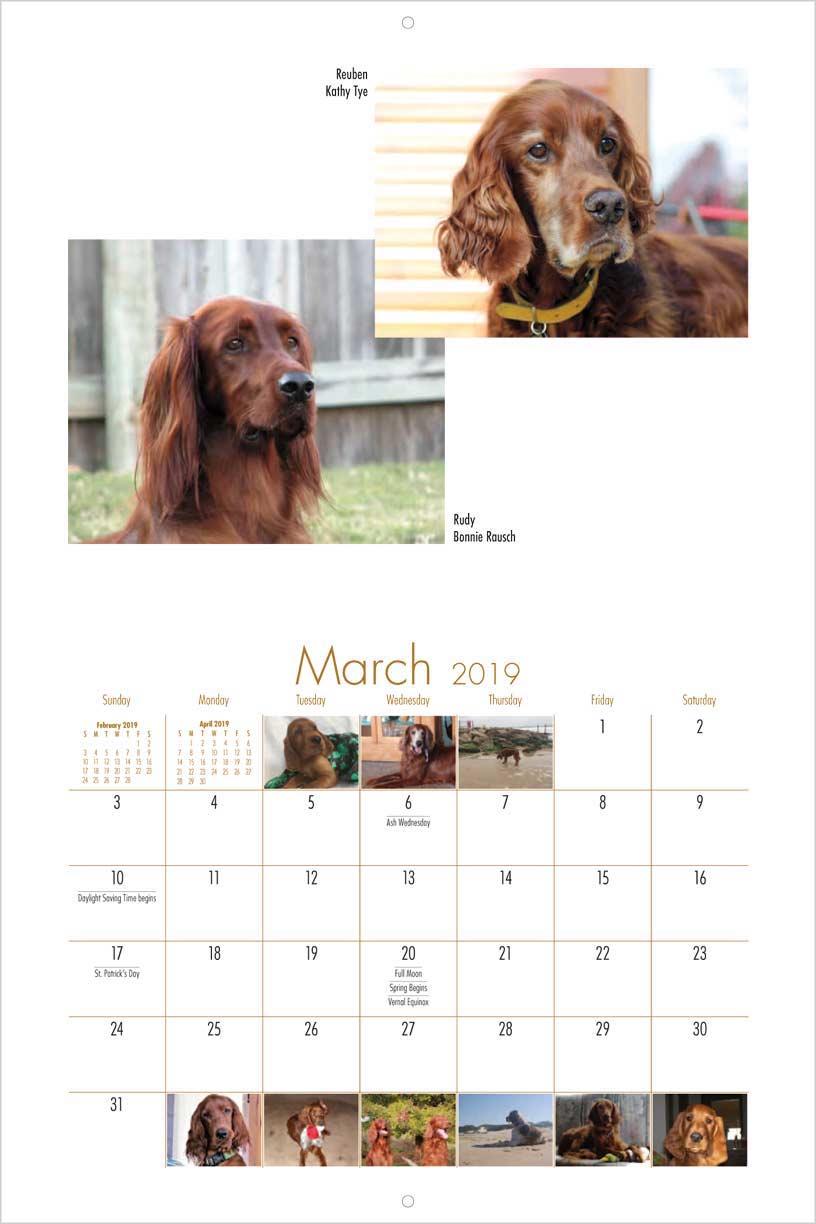 Irish Setter Lovers 2019 Calendar Fundraising