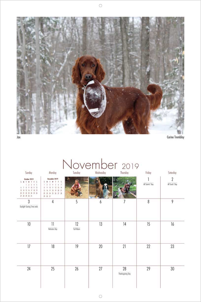 Irish Setter Lovers 2019 Calendar Fundraising