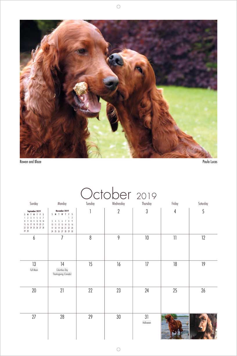 Irish Setter Lovers 2019 Calendar Fundraising