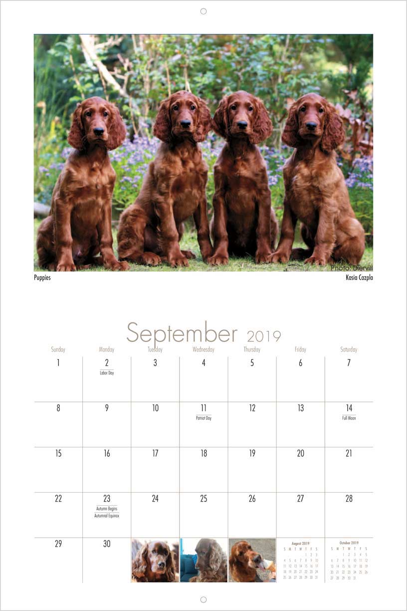 Irish Setter Lovers 2019 Calendar Fundraising