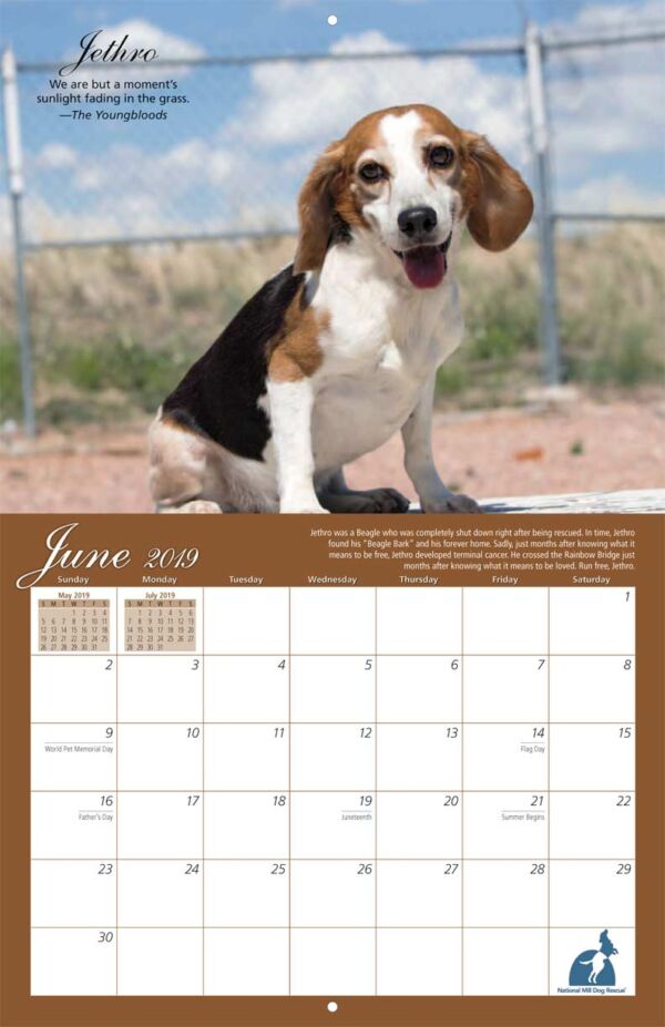 National Mill Dog Rescue 2019 Calendar Fundraising
