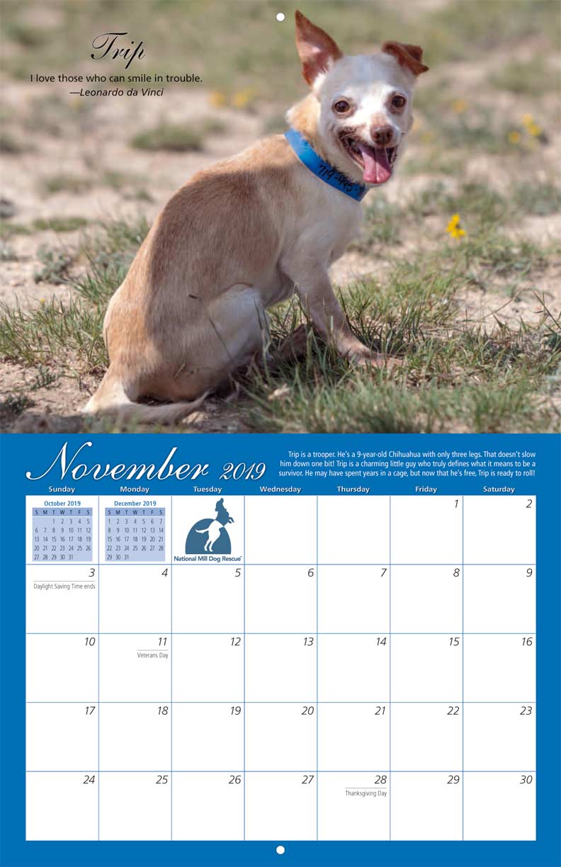 National Mill Dog Rescue 2019 Calendar Fundraising