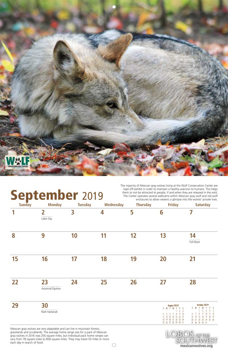 Lobos of the Southwest 2019 Calendar Fundraising