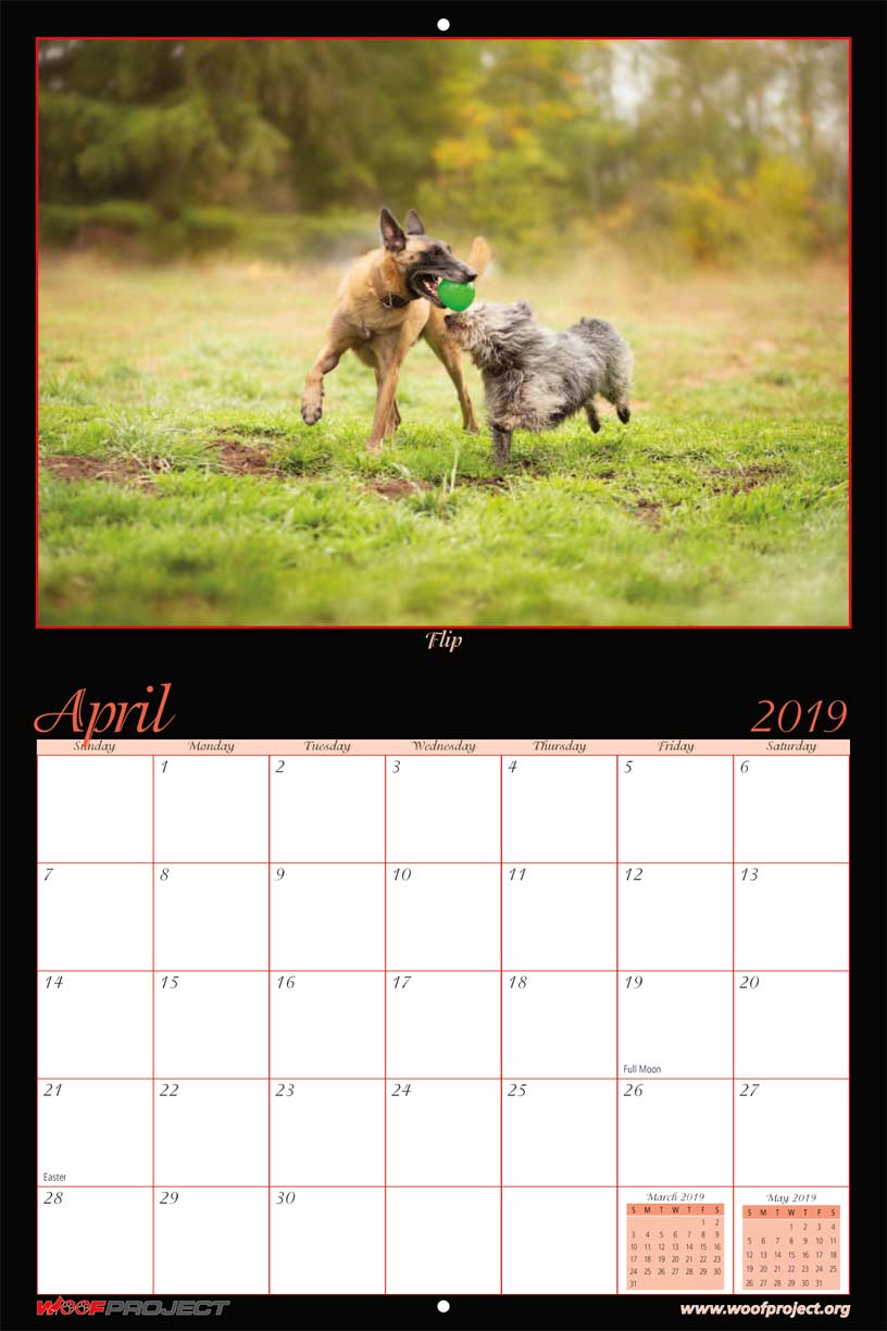 Woof Project Rescue 2019 Calendar Fundraising