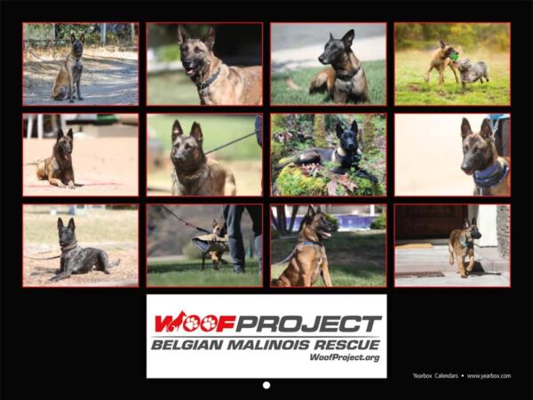 Woof Project Rescue 2019 Calendar Fundraising