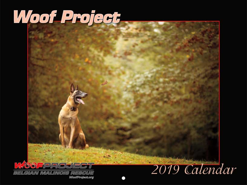 Woof Project Rescue 2019 Calendar Fundraising