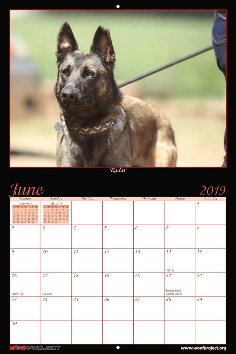 Woof Project Rescue 2019 Calendar Fundraising
