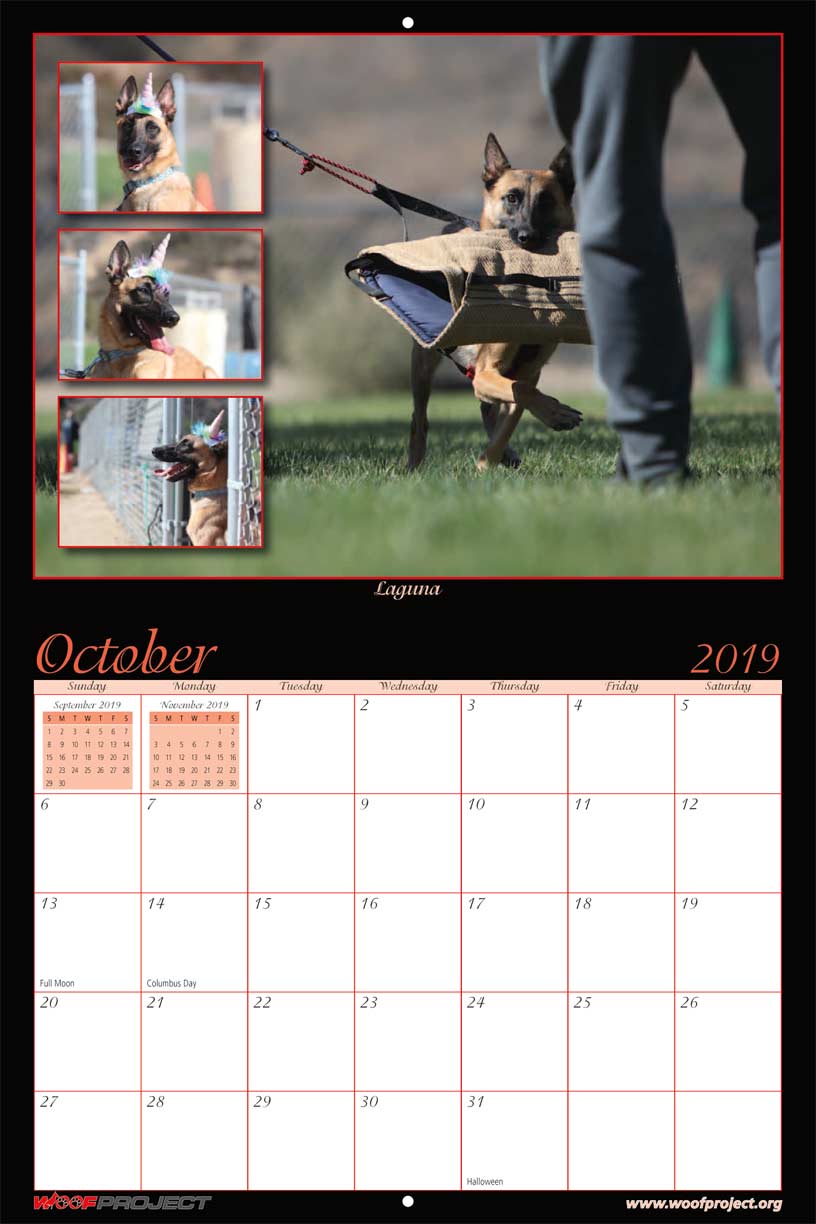 Woof Project Rescue 2019 Calendar Fundraising