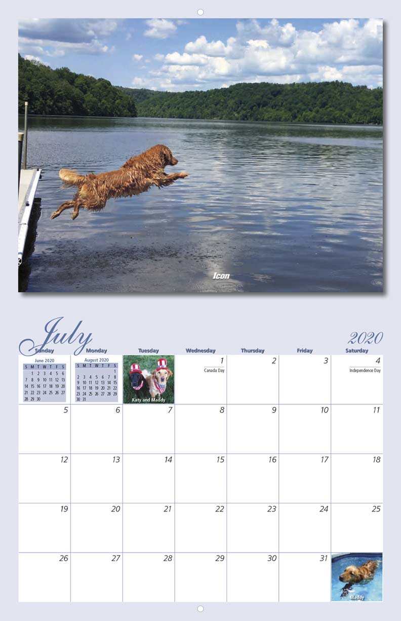 Homeward Bound Golden Retriever Rescue 2020 Calendar Fundraising