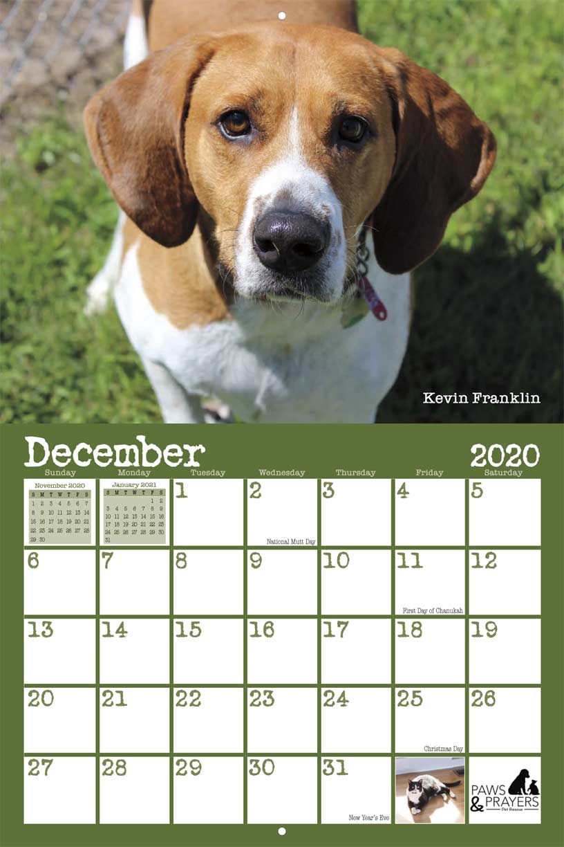 Paws and Prayers Pet Rescue 2020 Calendar Fundraising
