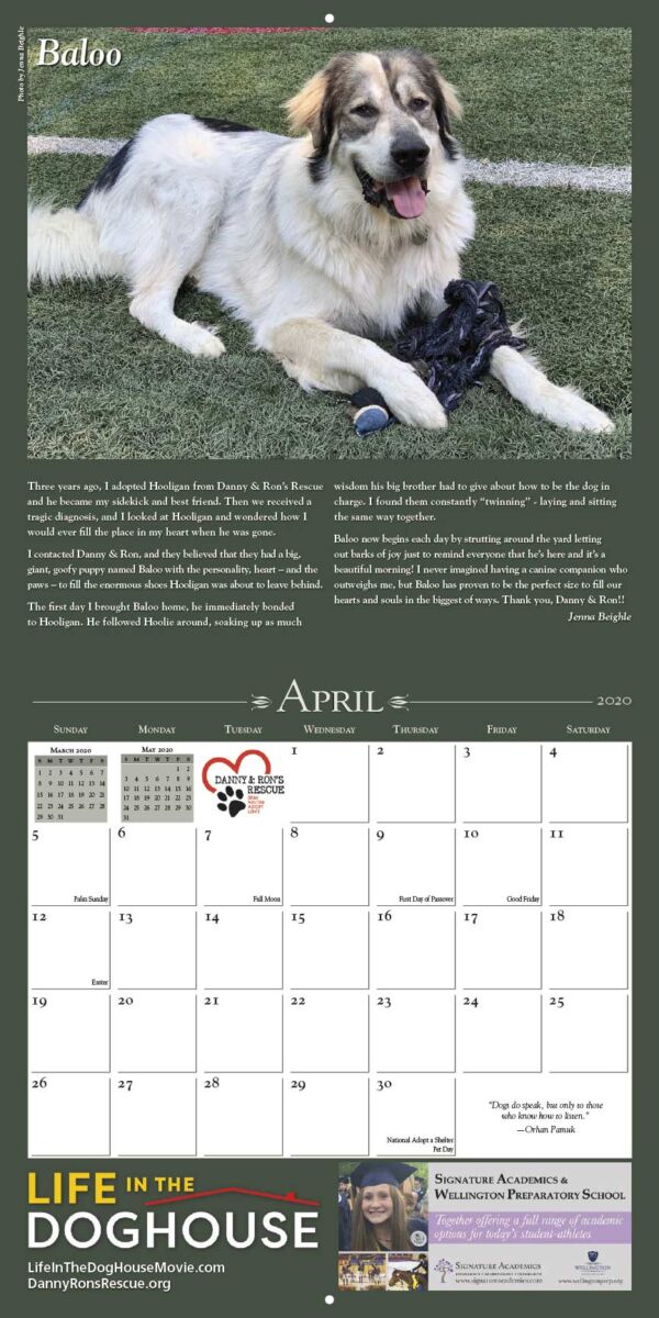 Danny & Ron's Rescue 2020 Calendar Fundraising
