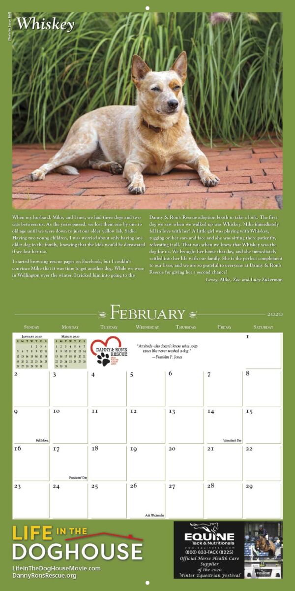Danny & Ron's Rescue 2020 Calendar Fundraising