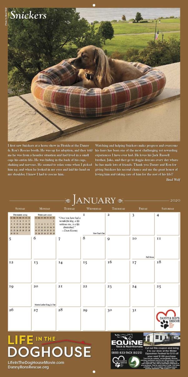 Danny & Ron's Rescue 2020 Calendar Fundraising