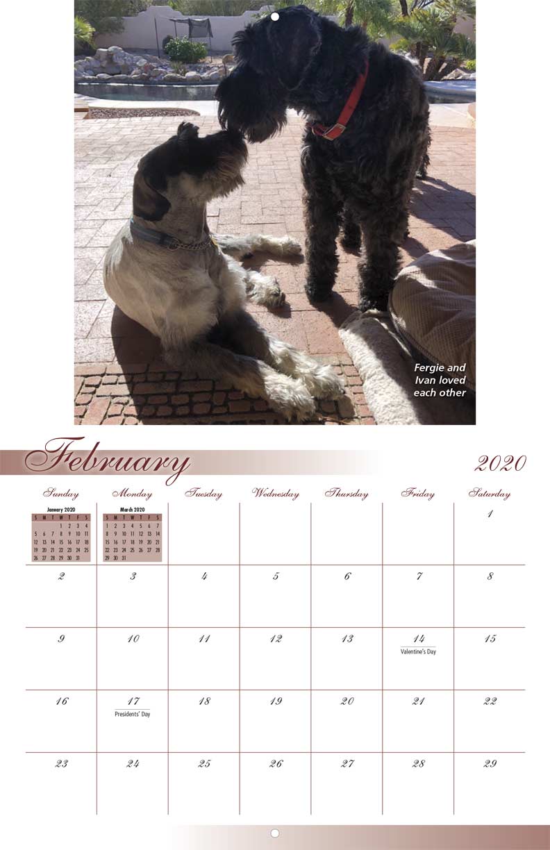 Valley of the Sun Giant Schnauzer Rescue 2020 Calendar Fundraising