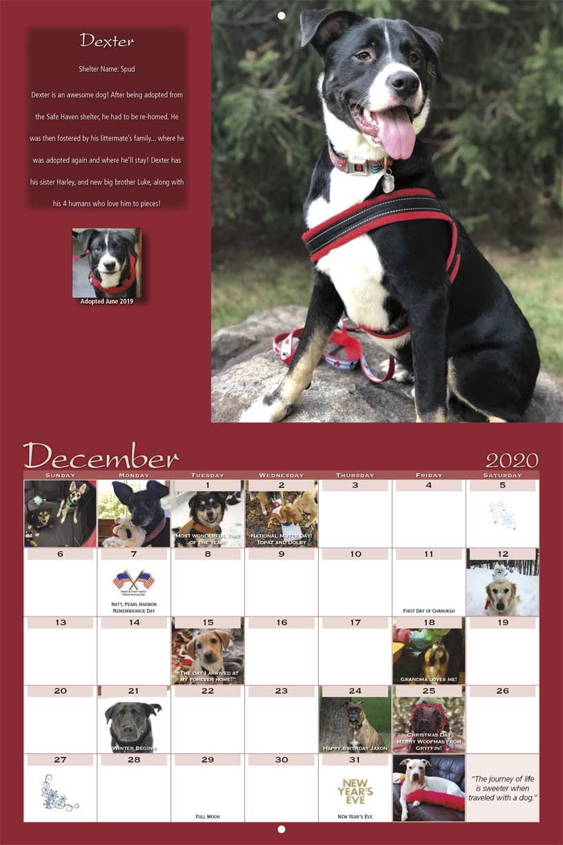 Mary Ann Morris Animal Society 2020 Calendar Fundraising