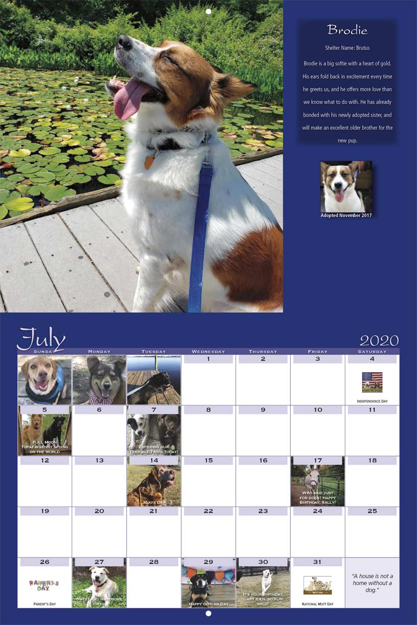 Mary Ann Morris Animal Society 2020 Calendar Fundraising