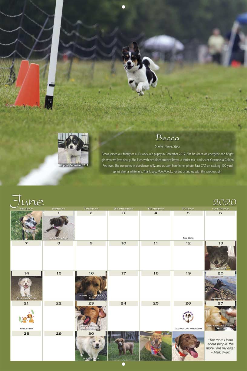 Mary Ann Morris Animal Society 2020 Calendar Fundraising
