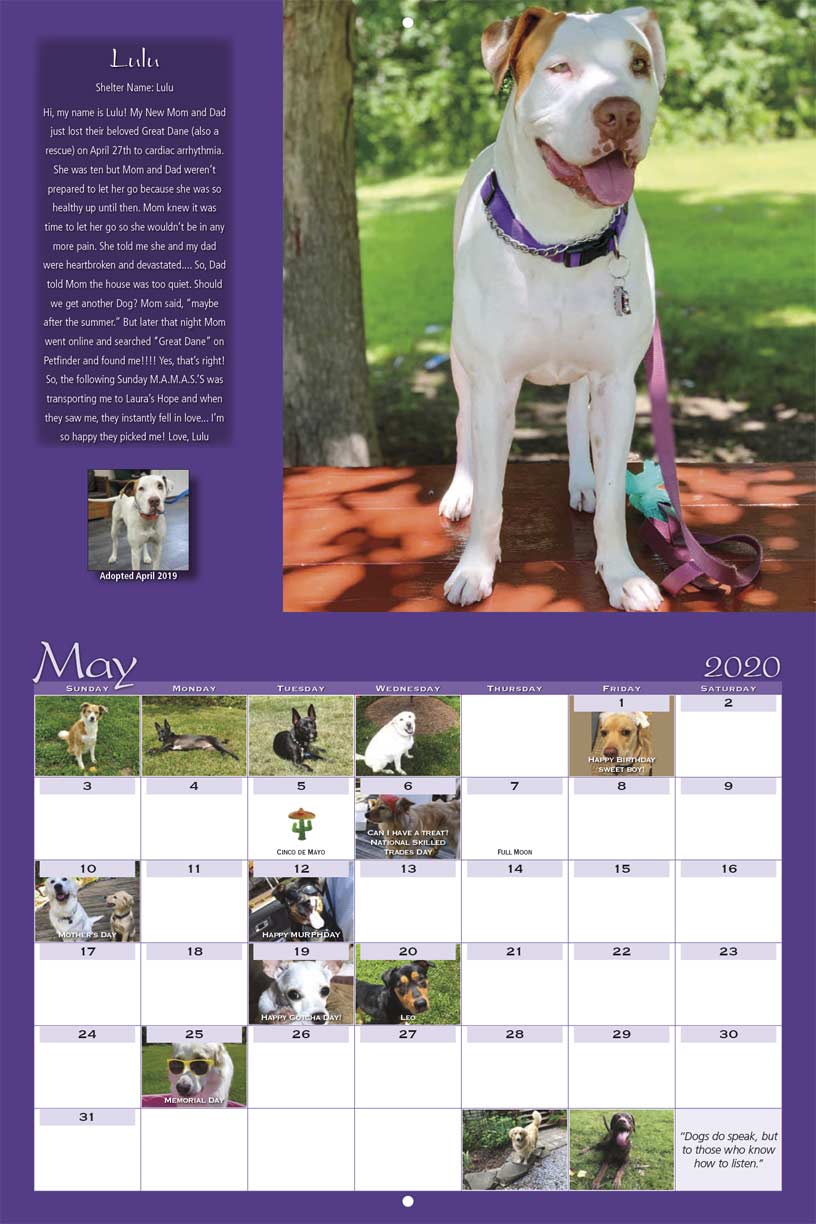 Mary Ann Morris Animal Society 2020 Calendar Fundraising