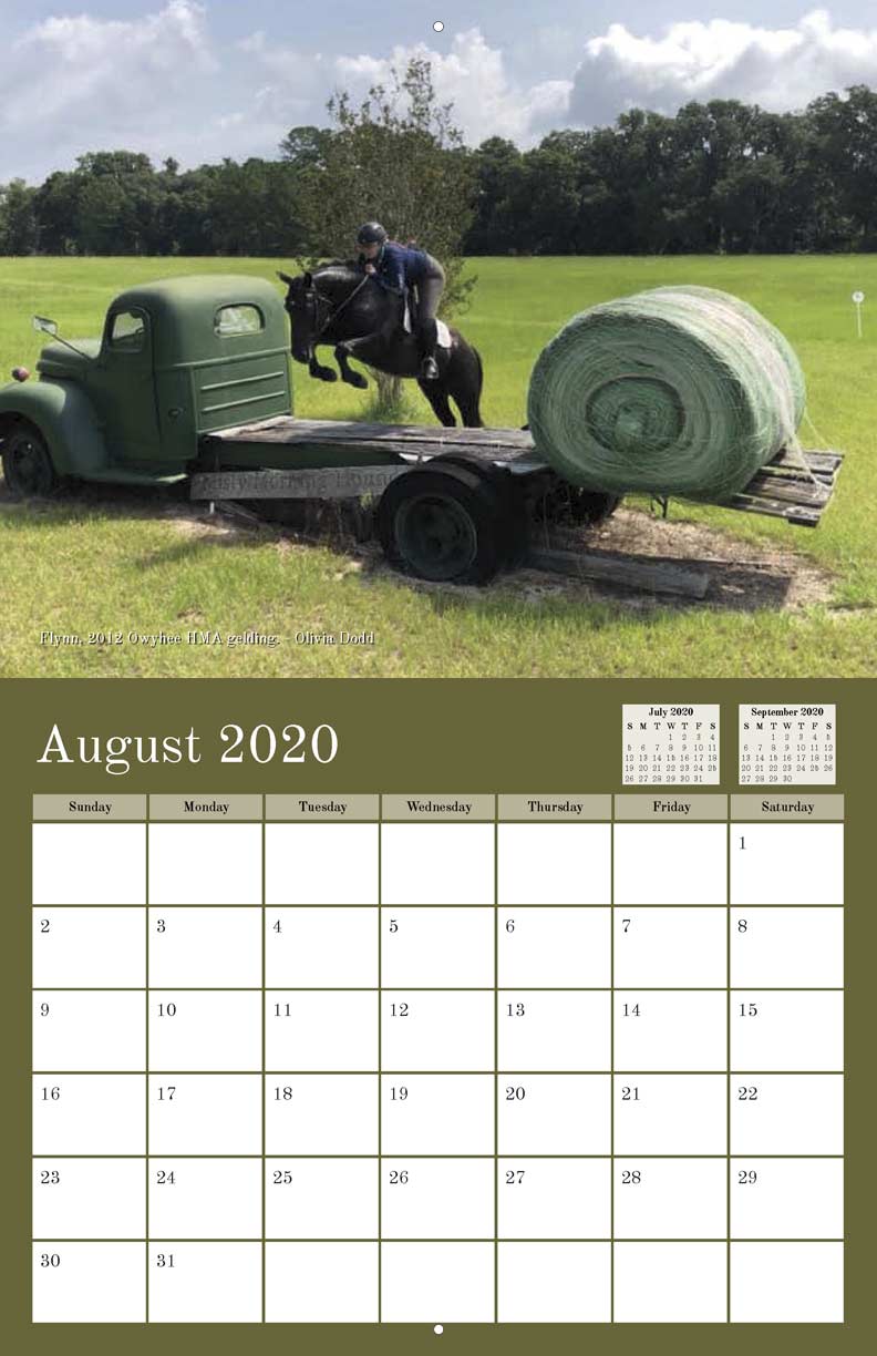 Colorado Mustangs 2020 Calendar Fundraising