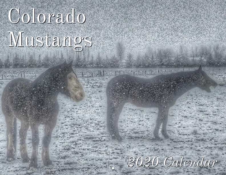 Colorado Mustangs 2020 Calendar Fundraising