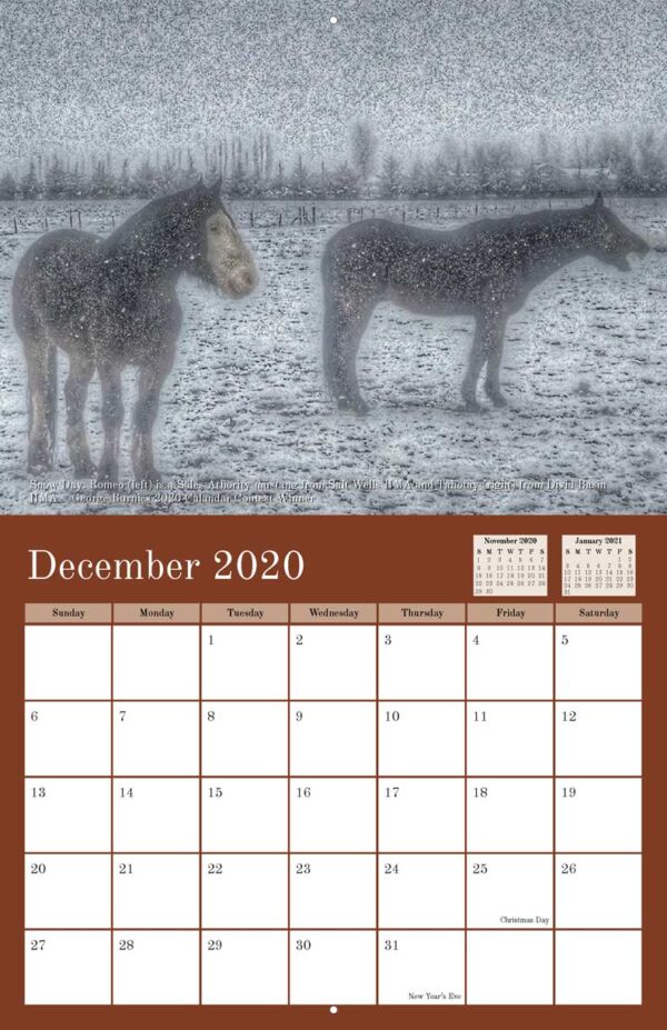 Colorado Mustangs 2020 Calendar Fundraising