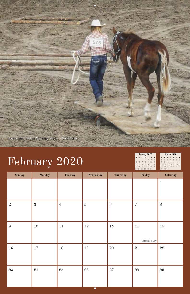 Colorado Mustangs 2020 Calendar Fundraising