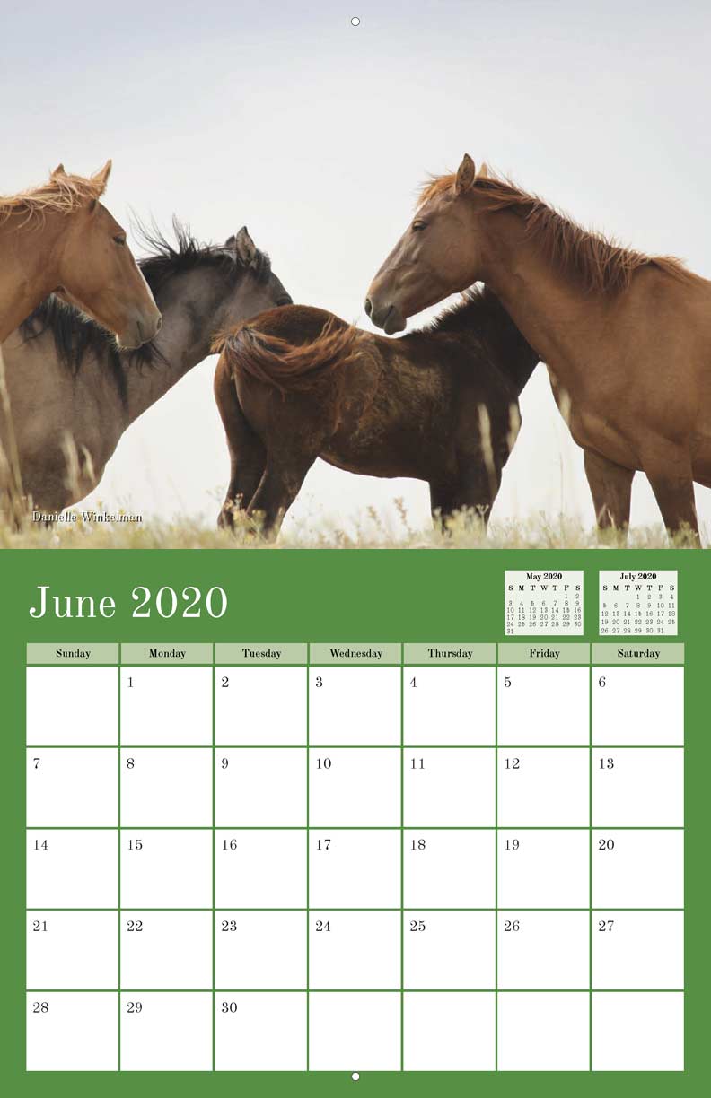 Colorado Mustangs 2020 Calendar Fundraising